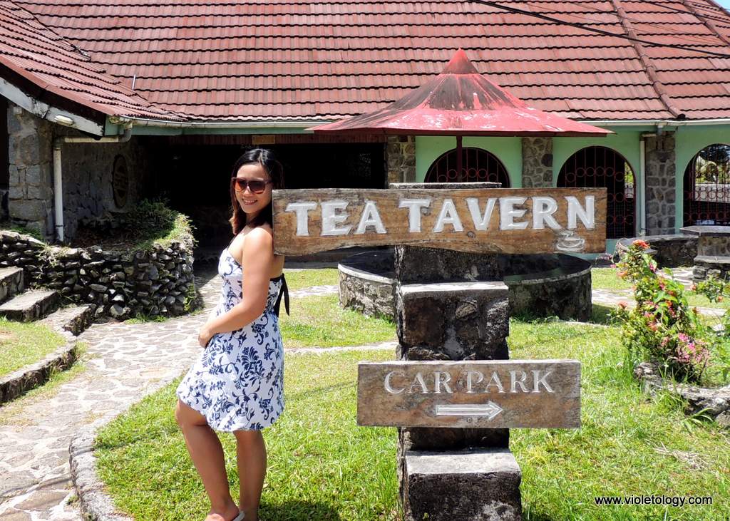 Mahé Island Tour: Tea Factory – VIOLETOLOGY