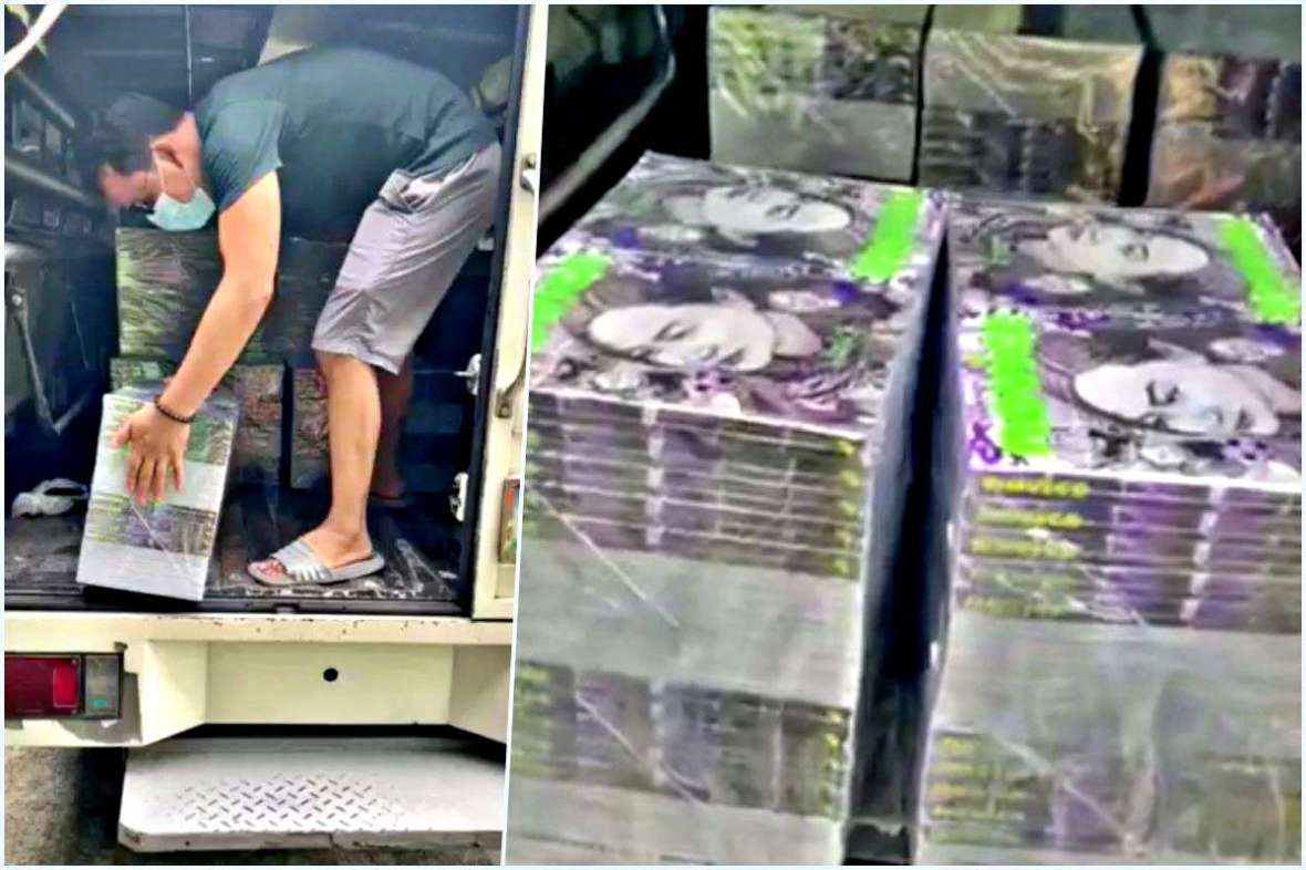 Novice Magazine is now printed! – VIOLETOLOGY