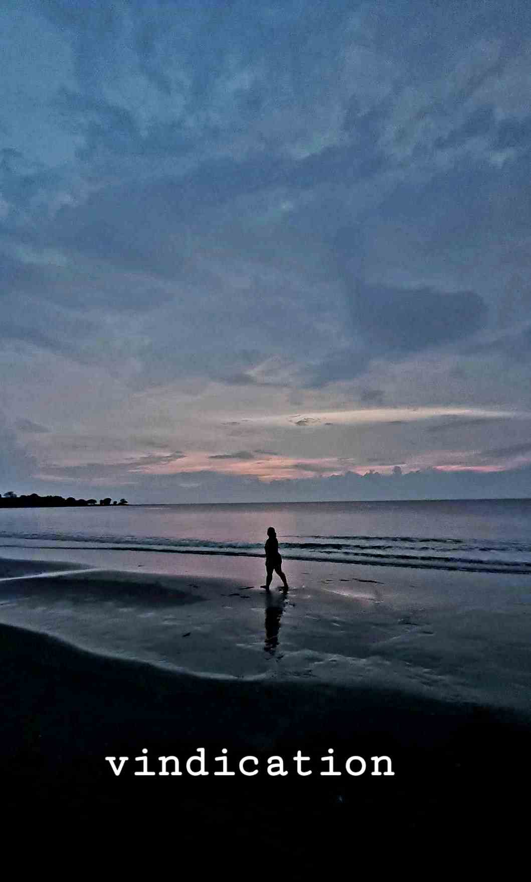 Vindication – VIOLETOLOGY